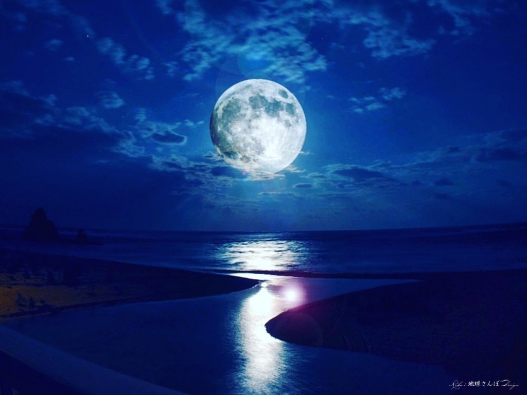 【SWELL】Google Adsense／広告貼付けしても保存できない時の対処法（サーバーConoHa WING の場合）（画像付き） | 地球さんぽ Art Lab.